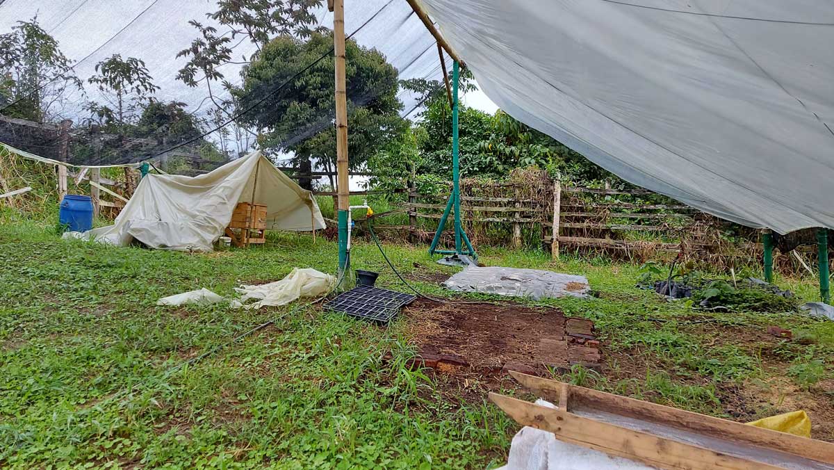 Claves de la participación en la transición energética justa: una propuesta desde la Ecoaldea Mi ...